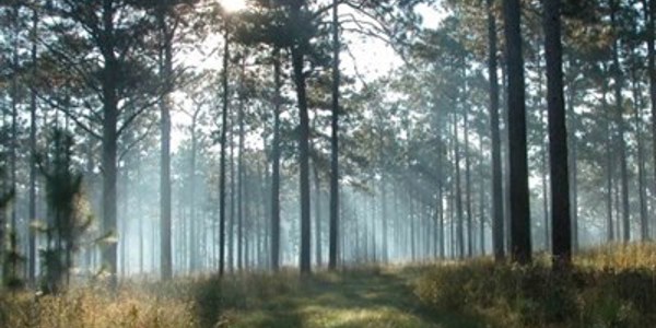 Sentinel Landscapes in the Southeast | SERPPAS